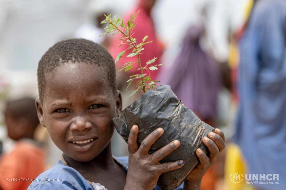 Climate change and displacement: the myths and the facts