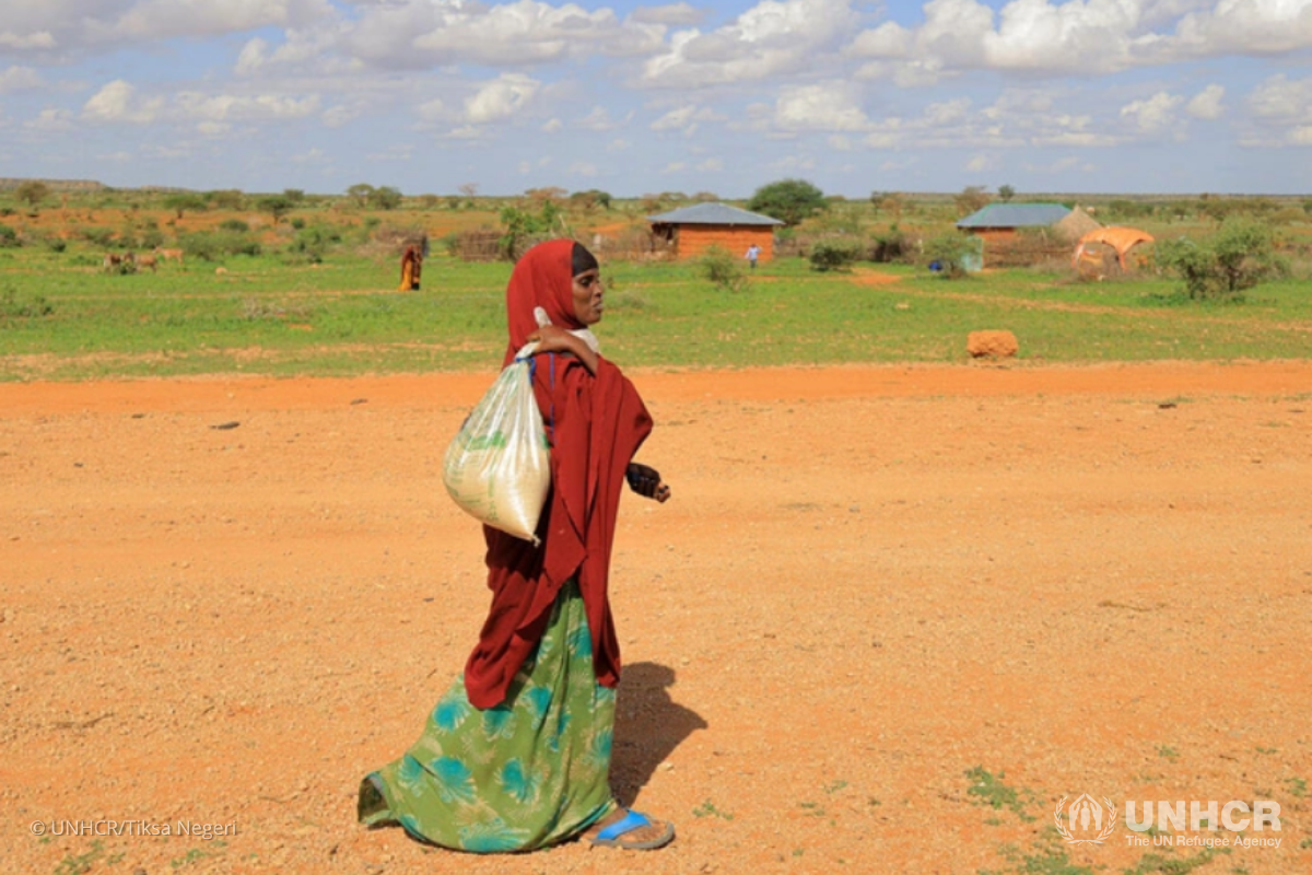 Climate change and displacement: the myths and the facts