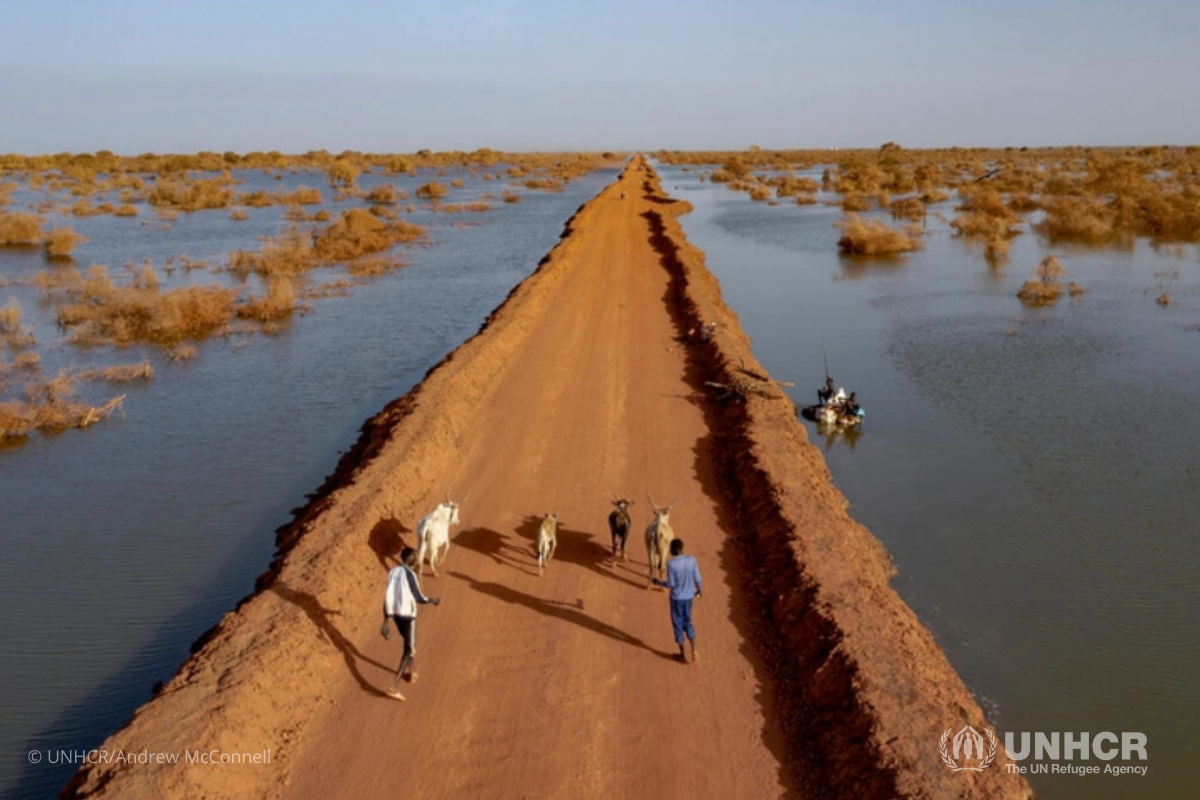 UNHCR: Number of humanitarian emergencies in 2023 the highest in a decade